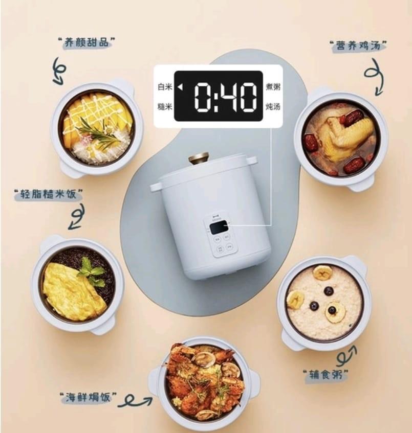 Japan BRUNO 1.2L Mini Rice Cooker., TV & Home Appliances, Kitchen ...