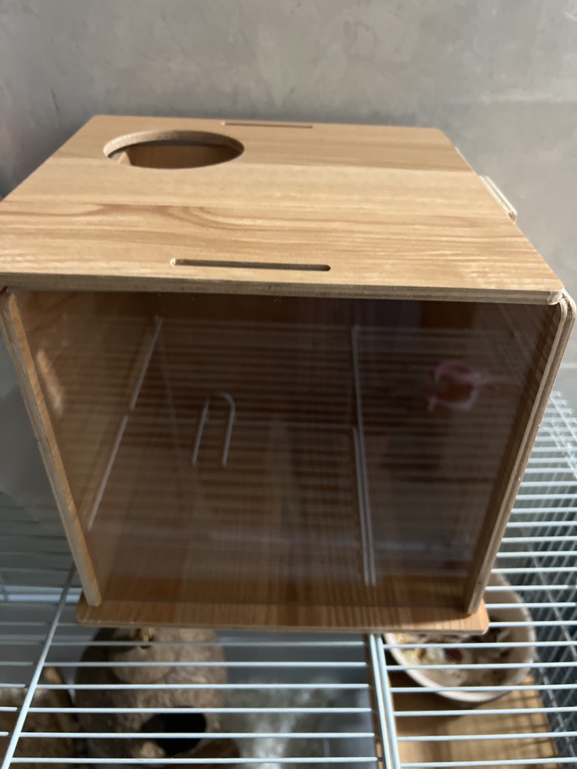 Burrow box hamsters, Pet Supplies, Homes & Other Pet Accessories on ...