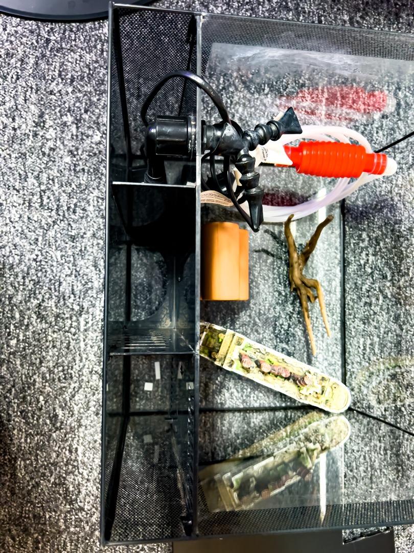 Fluval Flex 9 US Gal (34L) with freebies Aquarium Kit, Pet Supplies ...