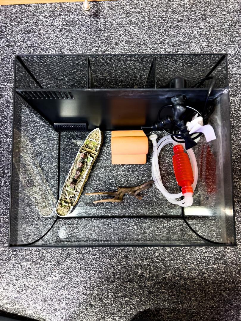 Fluval Flex 9 US Gal (34L) with freebies Aquarium Kit, Pet Supplies ...