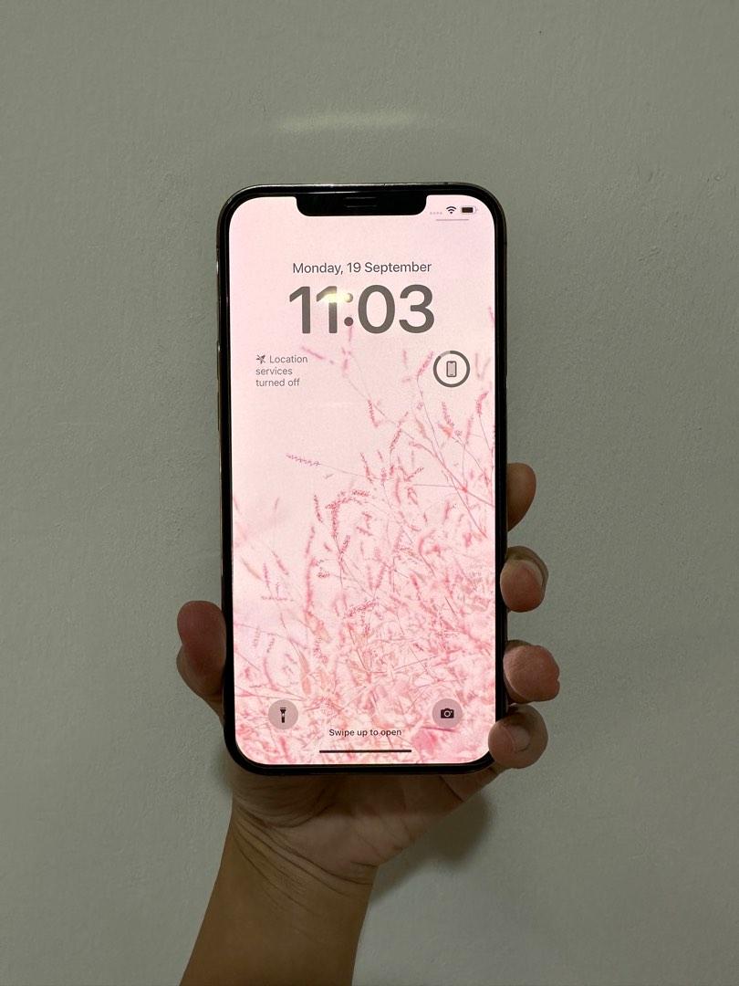 iPhone 12 Pro Max ( rose gold), Mobile Phones & Gadgets, Mobile Phones ...