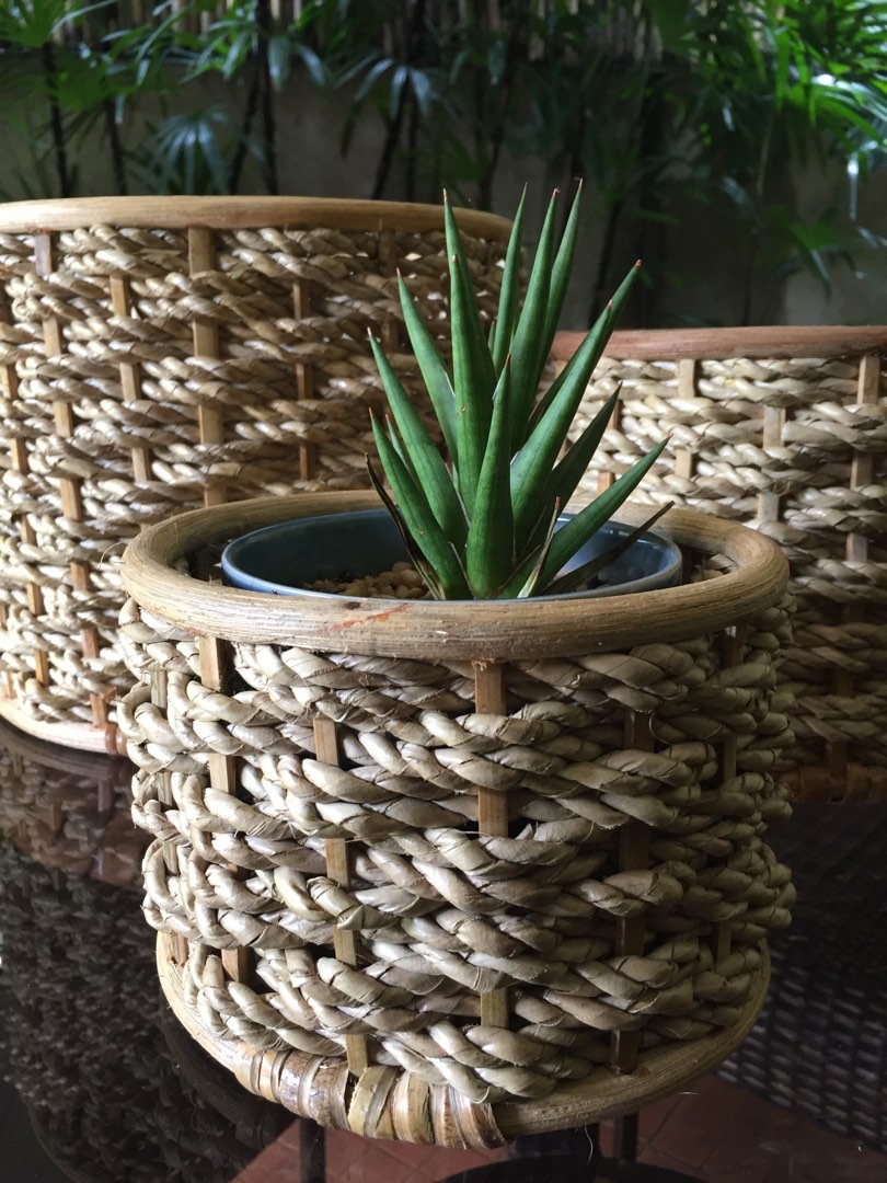 Set of 3 Native Planters, Furniture & Home Living, Gardening, Pots & Planters on Carousell