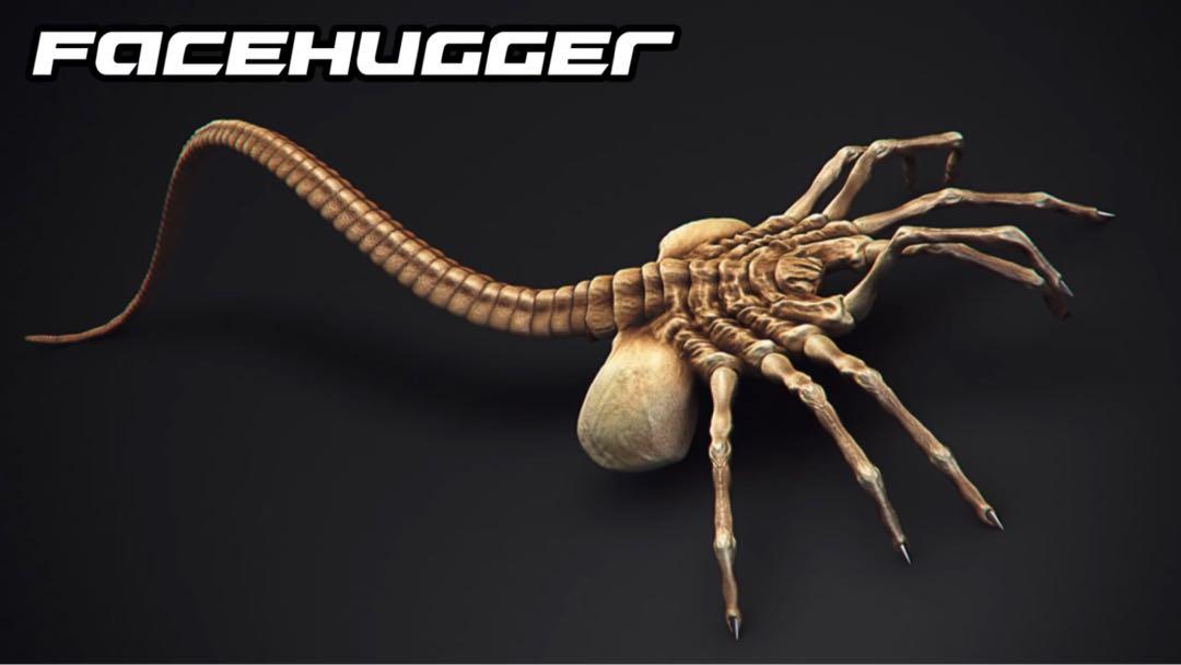 Alien Xenomorph Facehugger / Face Hugger & Chestburster / Chest Burster ...