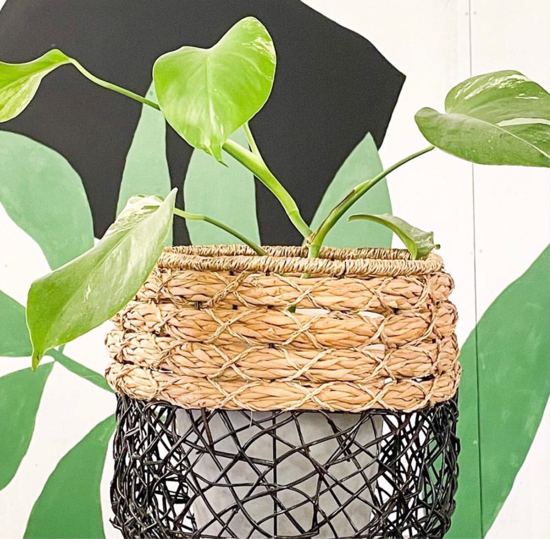 Bicol Plant Basket, Furniture & Home Living, Gardening, Gardening Tools ...