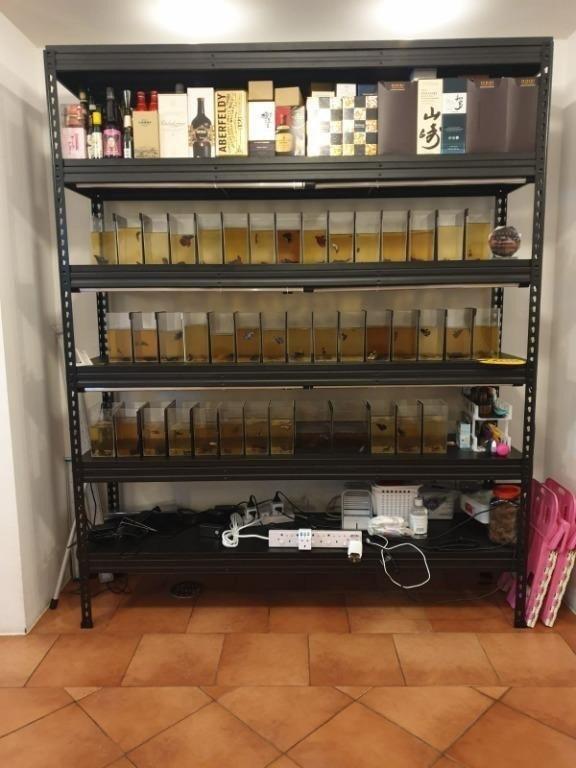 【Brand New】Boltless Rack, Temporary Stall, BTO, Industrial, Office ...