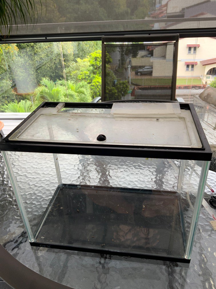 Gex 30cm x 18cm x 24cm Aquarium tank, Pet Supplies, Homes & Other Pet Accessories on Carousell