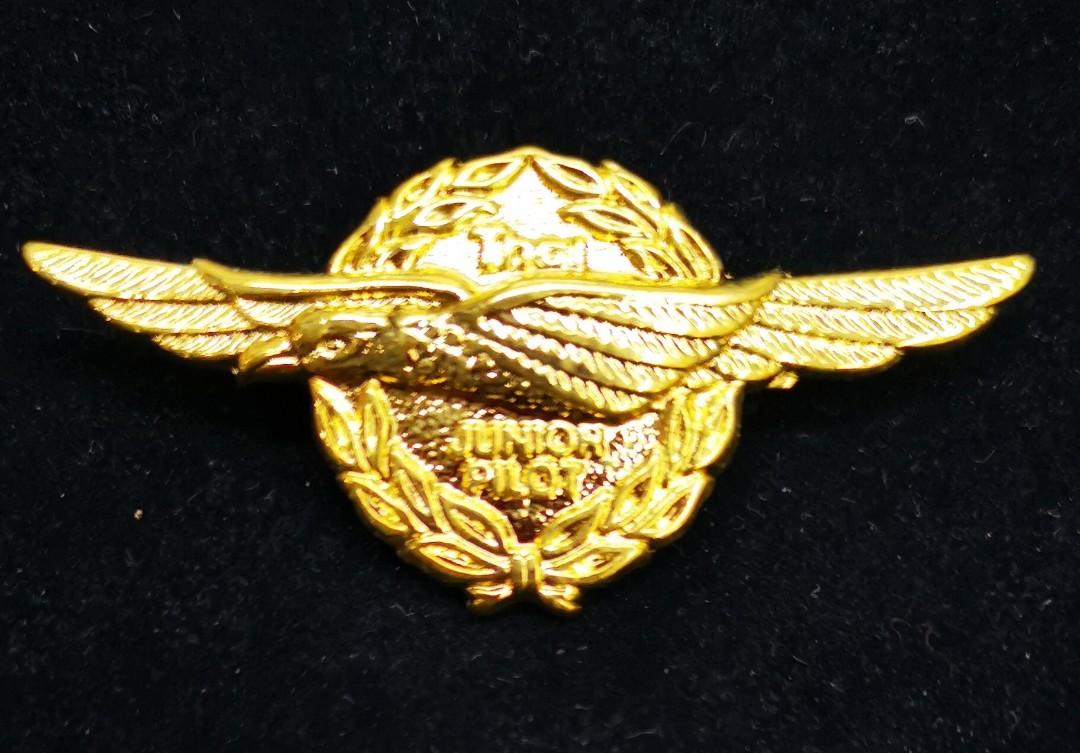[F/Shipping] Vintage Immaculate Thai Junior Pilot Gold Pin, Hobbies ...