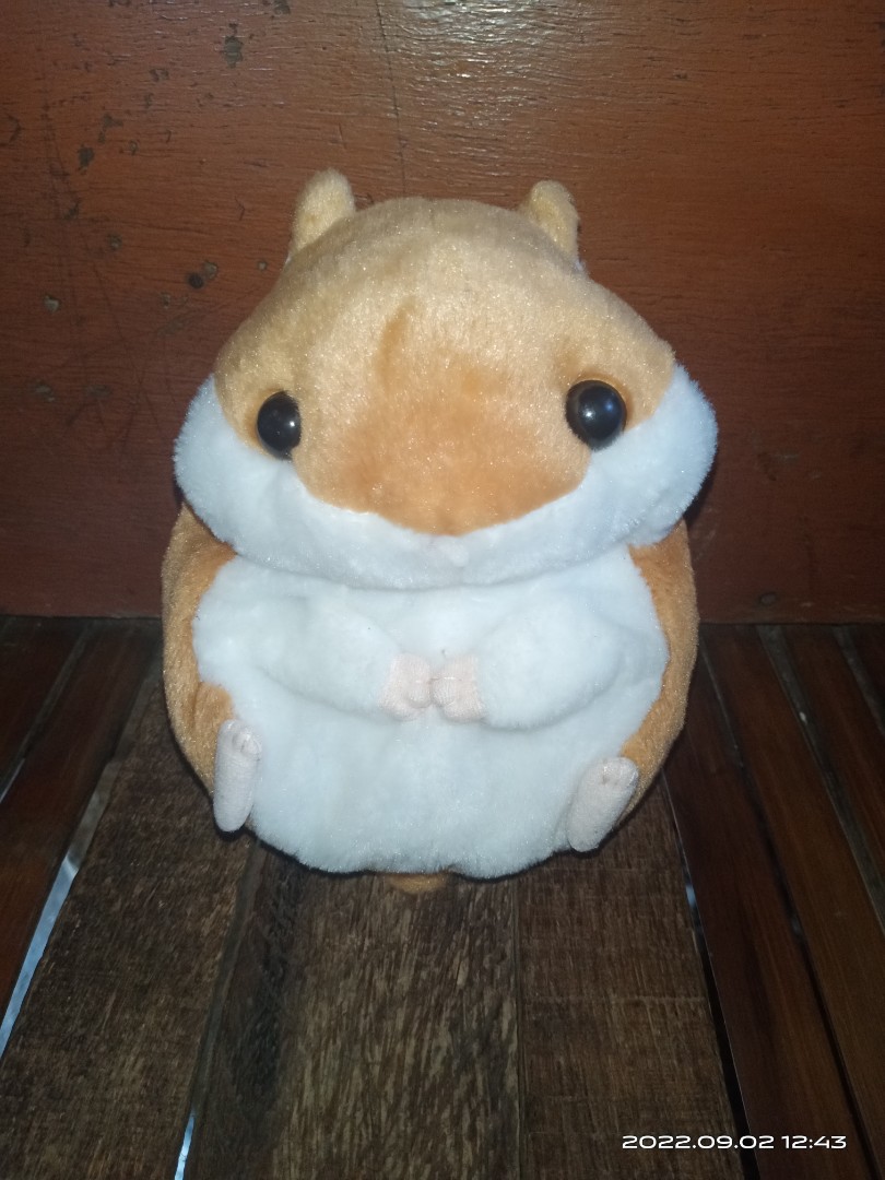 Korohamu Hamster wallet, Hobbies & Toys, Toys & Games on Carousell