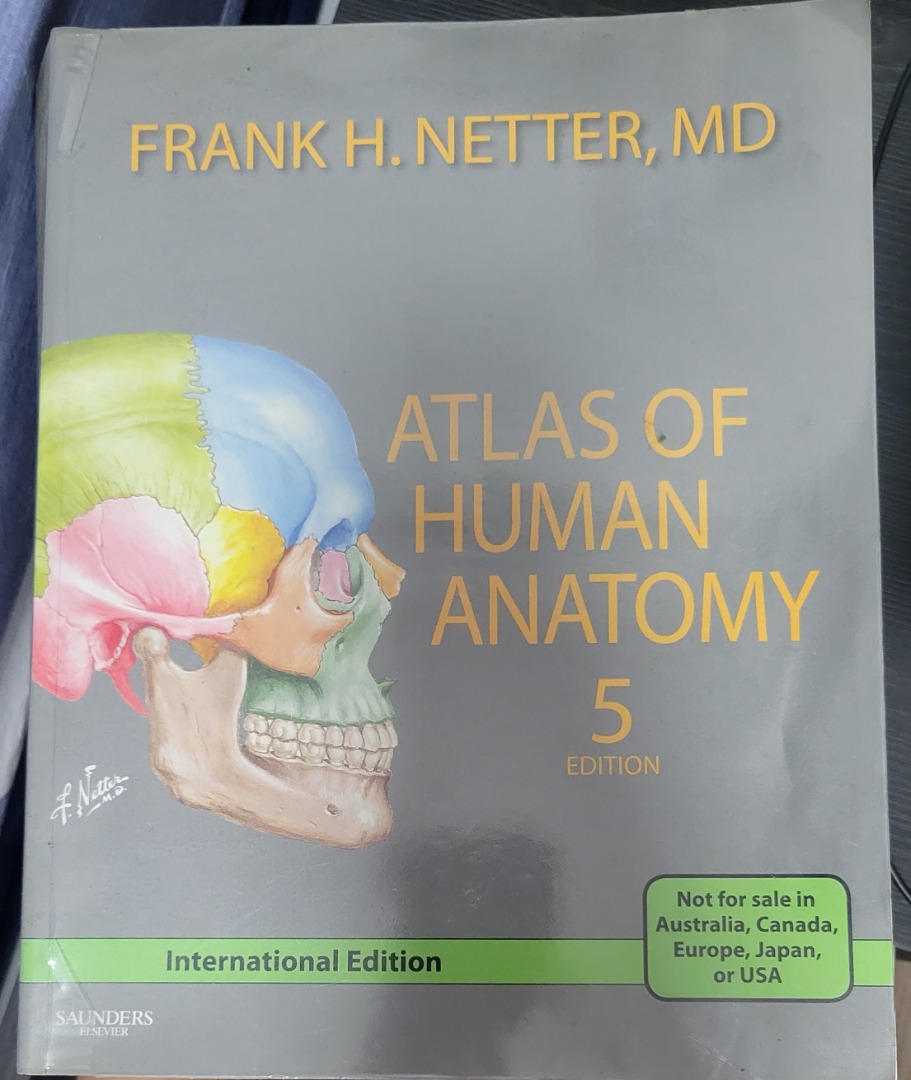 MBBS MBChB textbooks: Anatomy (Netter), 興趣及遊戲, 書本 & 文具, 教科書 - Carousell