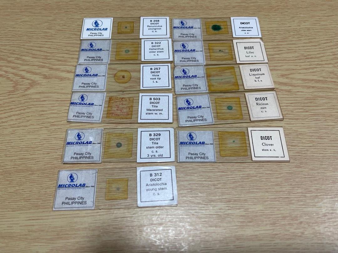Prepared slides microbiology botany parasites, Community on Carousell
