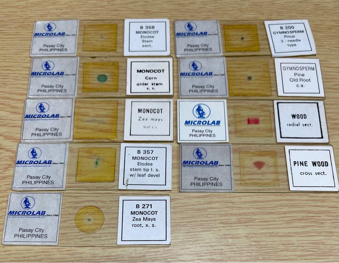 Prepared slides microbiology botany parasites, Community on Carousell