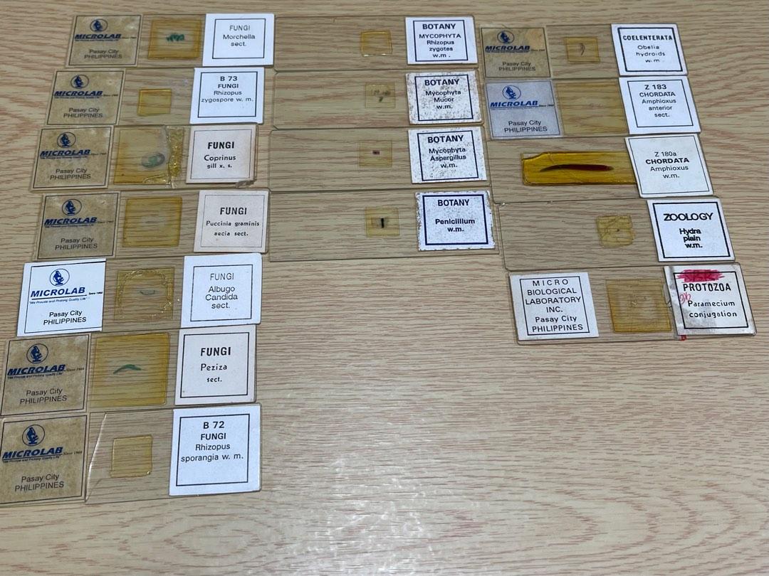 Prepared slides microbiology botany parasites, Community on Carousell