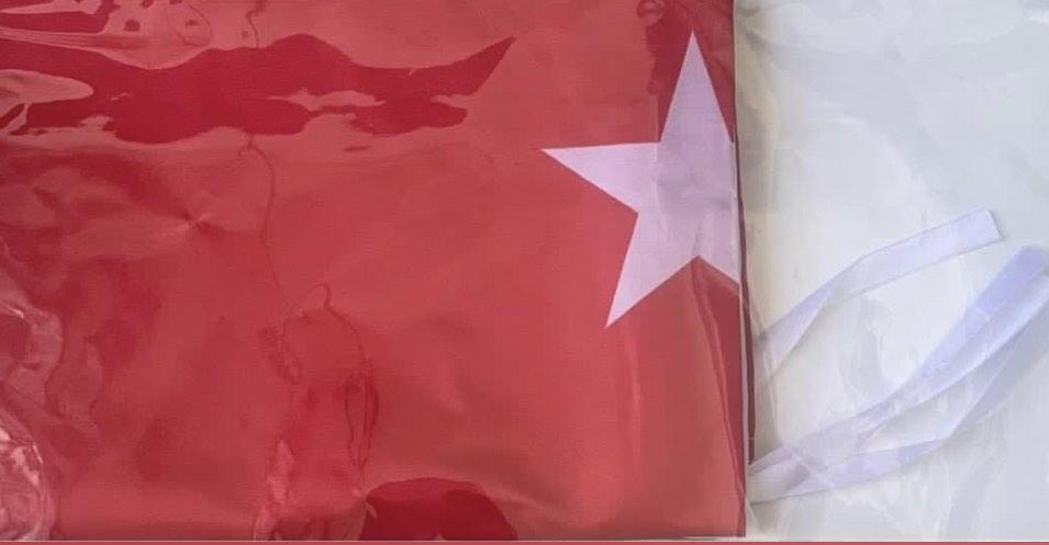 Singapore NDP Flag, Everything Else on Carousell