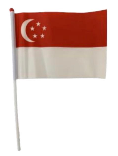 Singapore NDP Flag, Everything Else on Carousell
