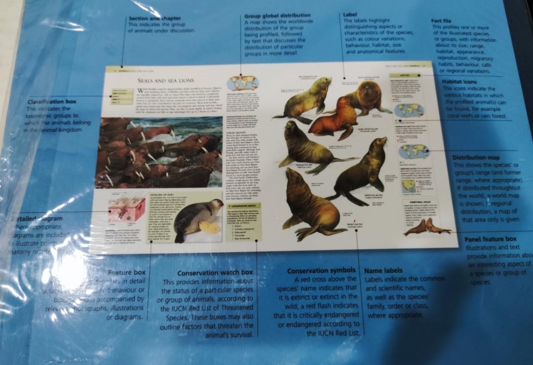 The Encyclopedia of Animals, A Complete Visual Guide, Hobbies & Toys ...