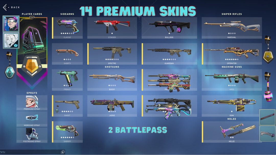 14 Prems Gpop + Recon bundle / Valorant Account, Video Gaming, Gaming ...