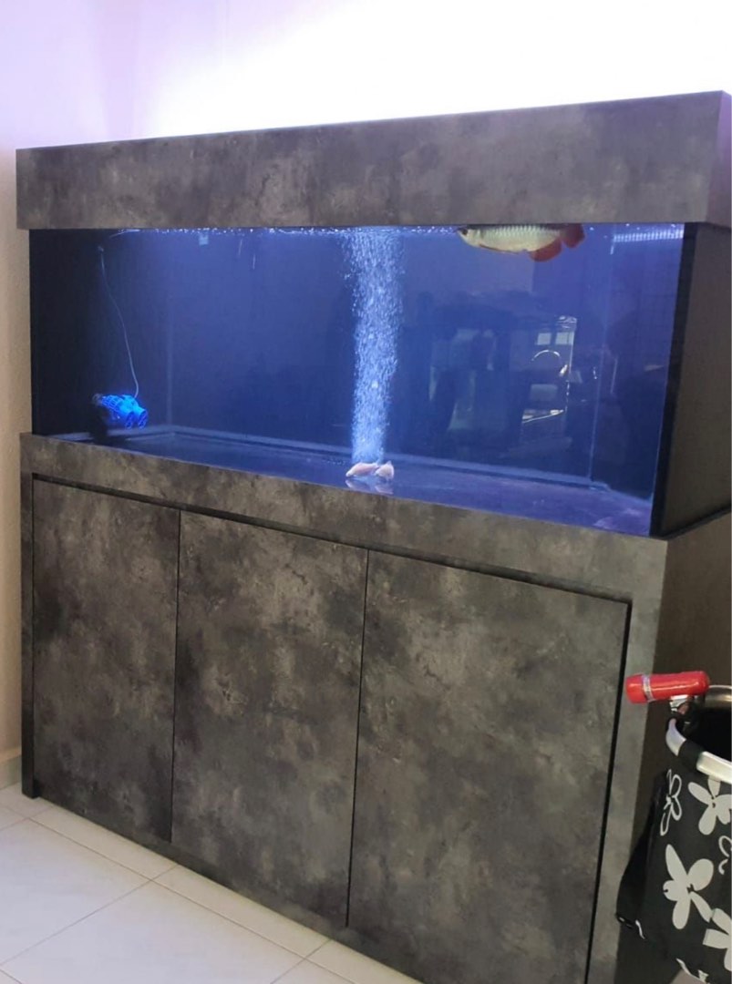 Full set plug & Play 5ft by 2.5Ft by 2ft fish tank with sump, Pet ...