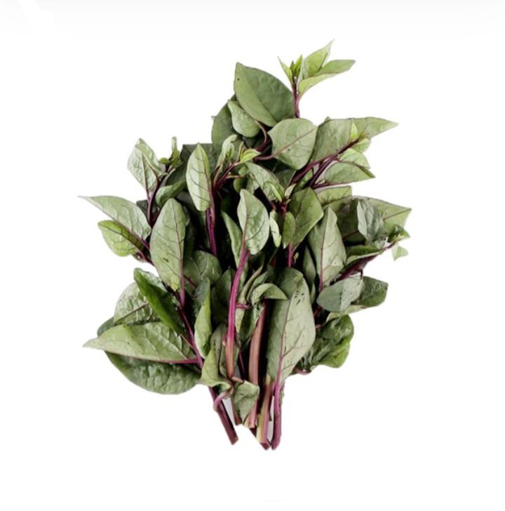 Alugbati, Food & Drinks, Fresh Produce on Carousell