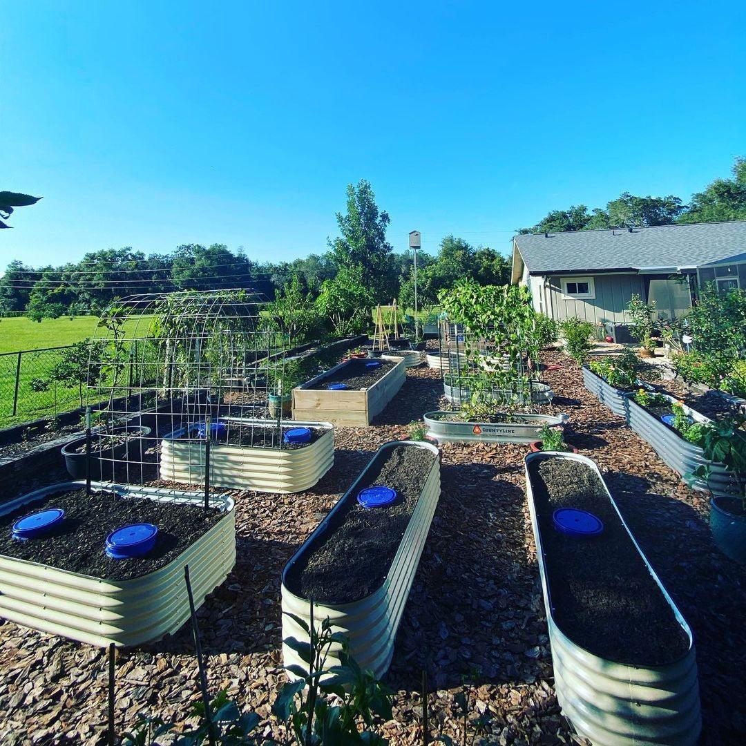 AlumnZInc Magnesium Raised Bed Garden Kits Planter Box Grow Your Food ...