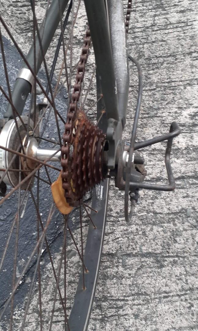 Bridgestone Mark Rosa, Sports Equipment, Bicycles & Parts, Bicycles on ...