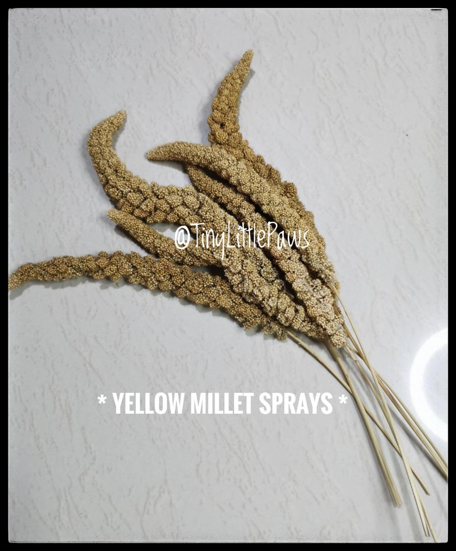 Flaxseed Spray, Yellow Millet Spray & Oat Spray - Hamster / Gerbil ...