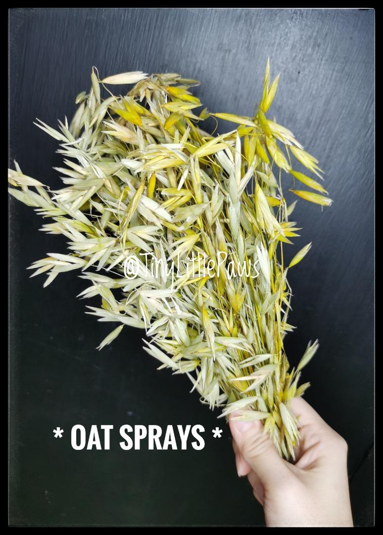 Flaxseed Spray, Yellow Millet Spray & Oat Spray - Hamster / Gerbil ...