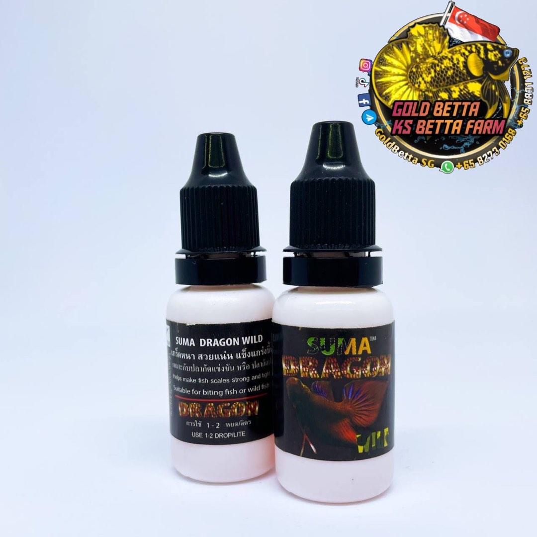 SUMA Dragon, Pet Supplies, Homes & Other Pet Accessories on Carousell