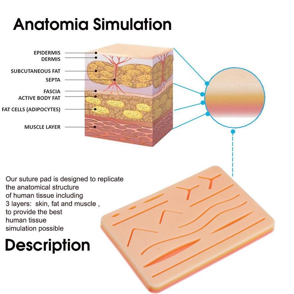 Suturing Skills Full Practice Kit with Pseudo Skin Structure (New ...