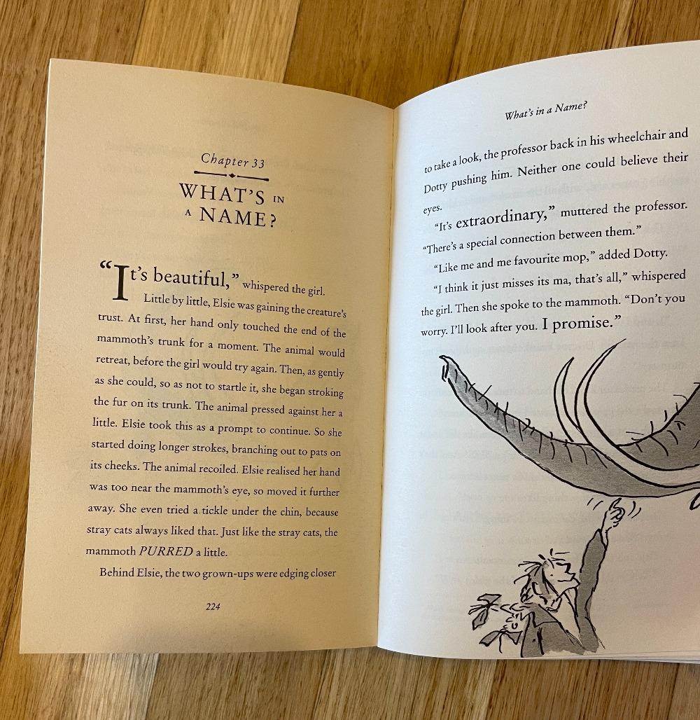 The Ice Monster David Walliams Book, Hobbies & Toys, Books & Magazines ...