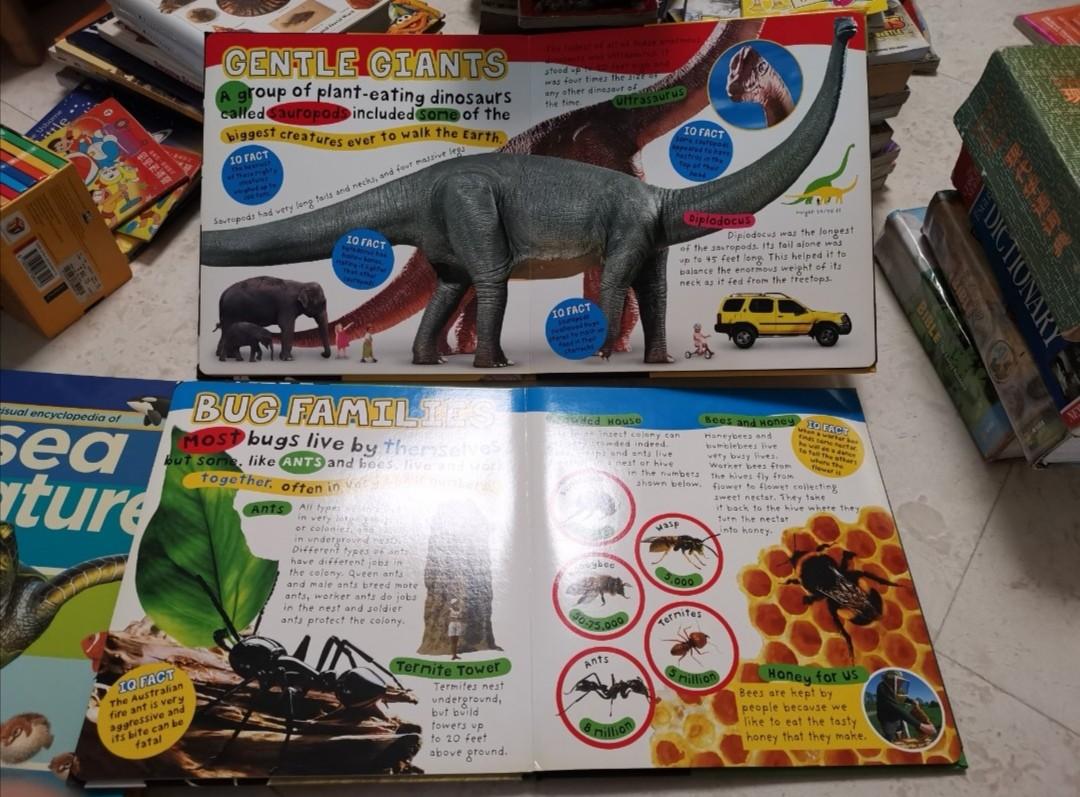 Children's animals bugs dino IQ books, Hobbies & Toys, Books ...
