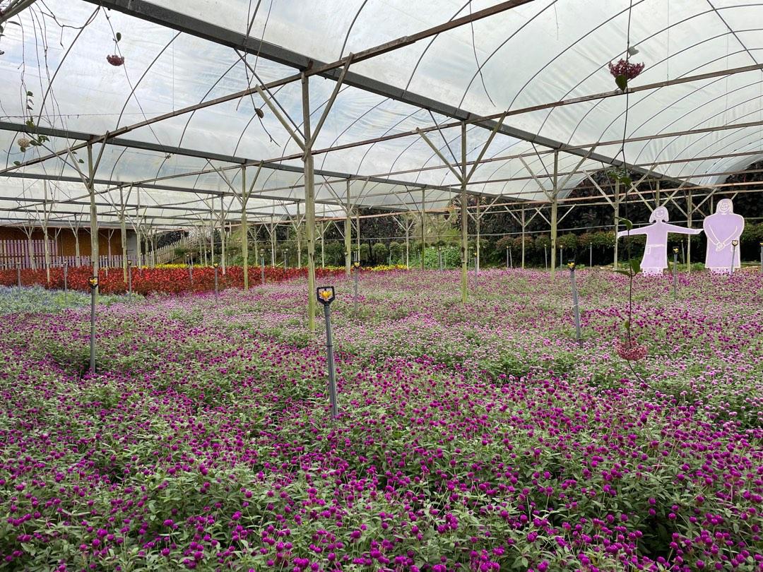 genting garden ticket, Tickets & Vouchers, Local Attractions ...