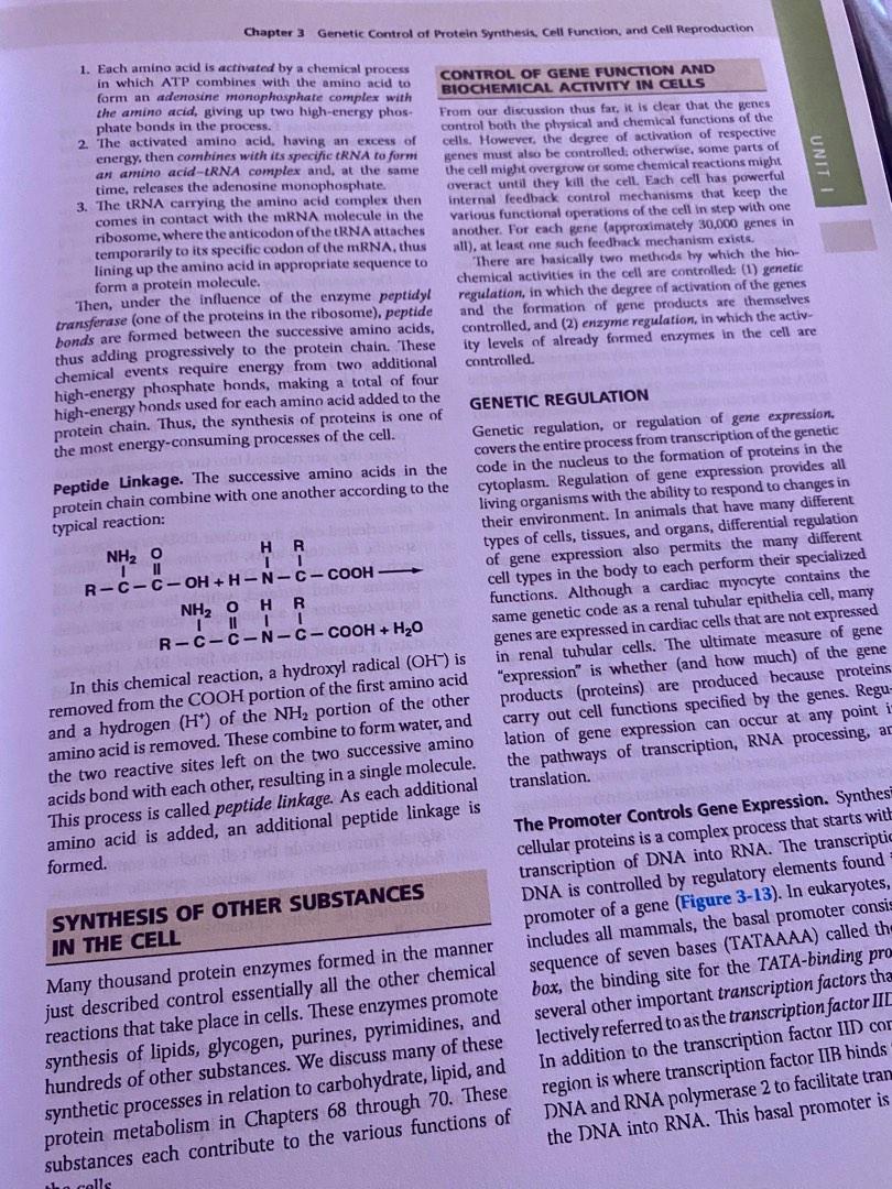 Guyton and Hall- Medical Physiology 13th ed Hardbound (13 % highlight ...