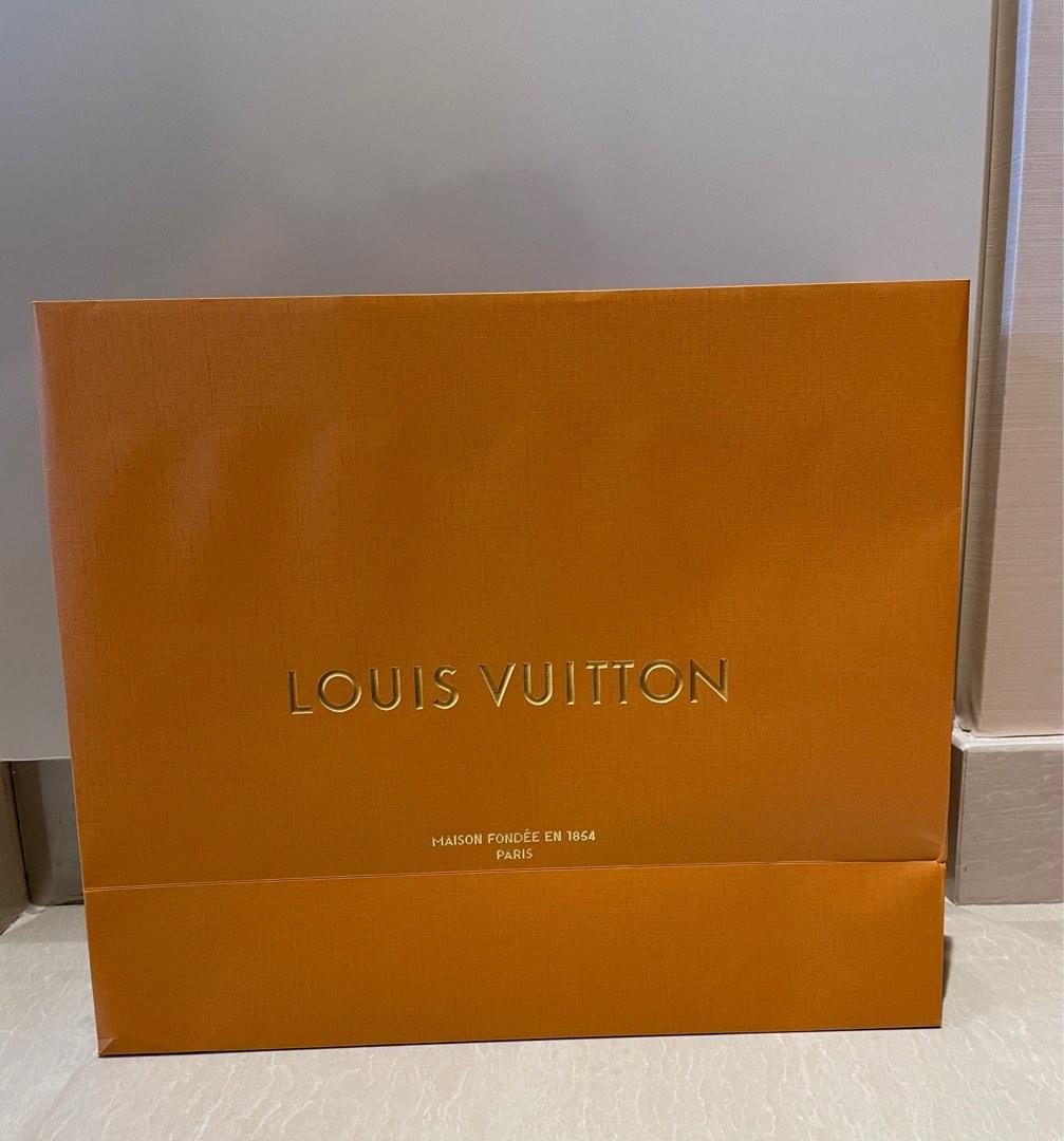 Louis Vuitton LV Paper Bag (special edition), Luxury, Accessories on ...