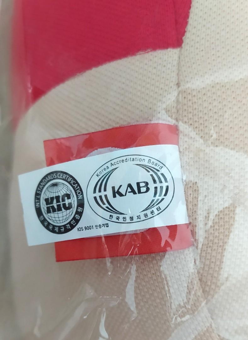 MapleStory Plush Ribbon Pig MapleSEA, Hobbies & Toys, Memorabilia ...