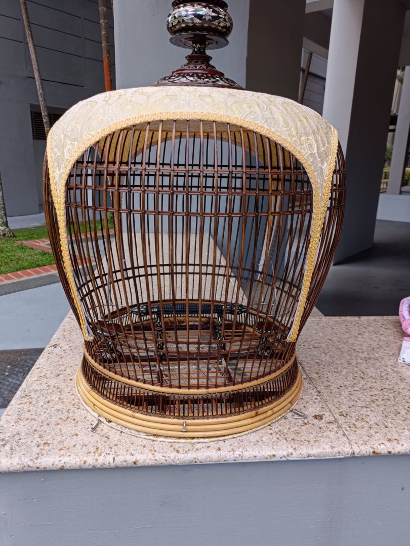 Merbok Bird cage, Pet Supplies, Homes & Other Pet Accessories on Carousell