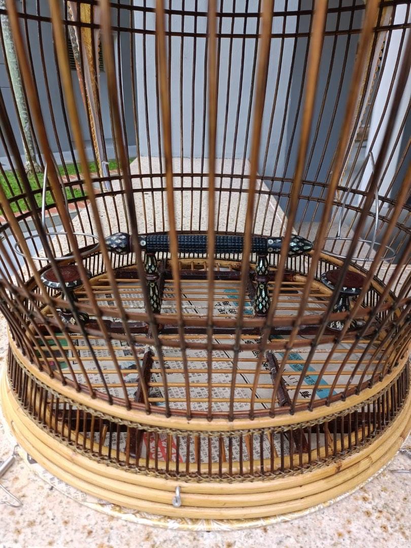 Merbok Bird cage, Pet Supplies, Homes & Other Pet Accessories on Carousell