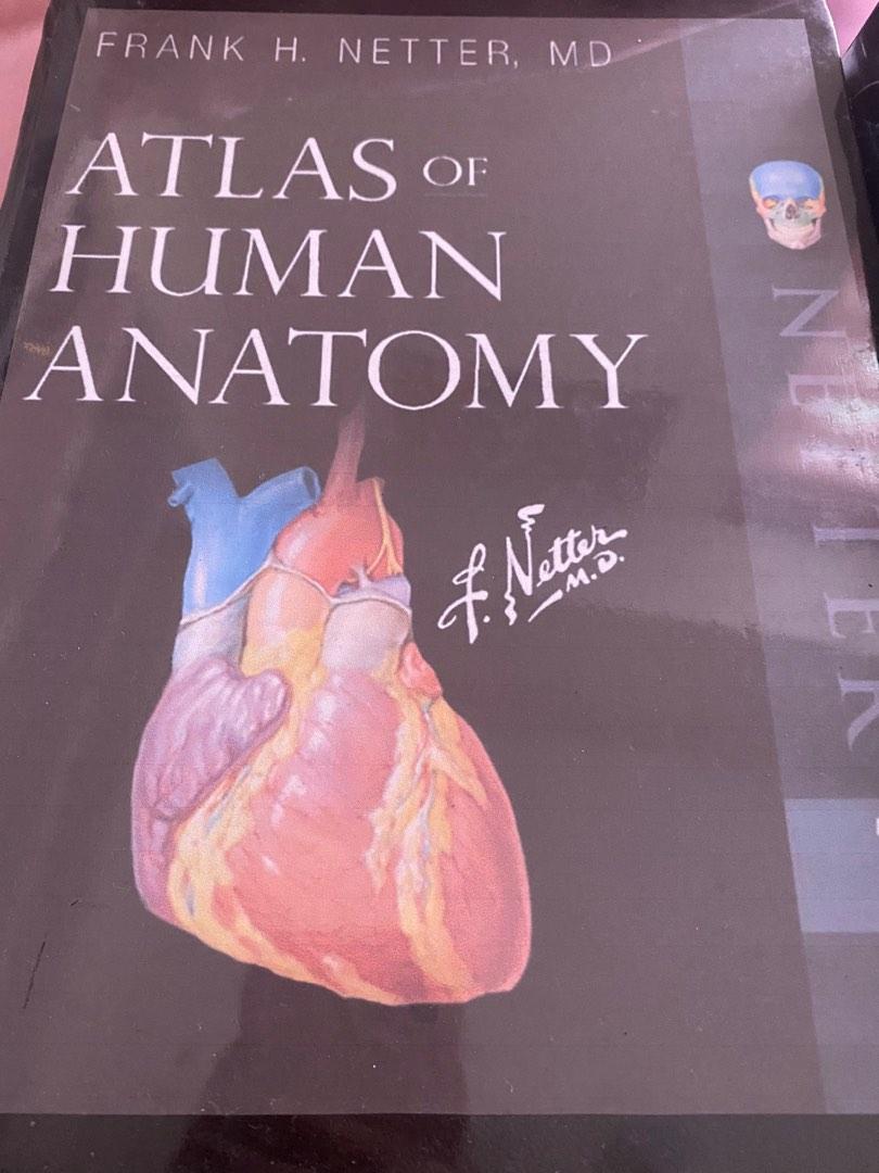 Netter- Atlas of Human Anatomy 7th Ed Hardbound (2% highlight and notes ...