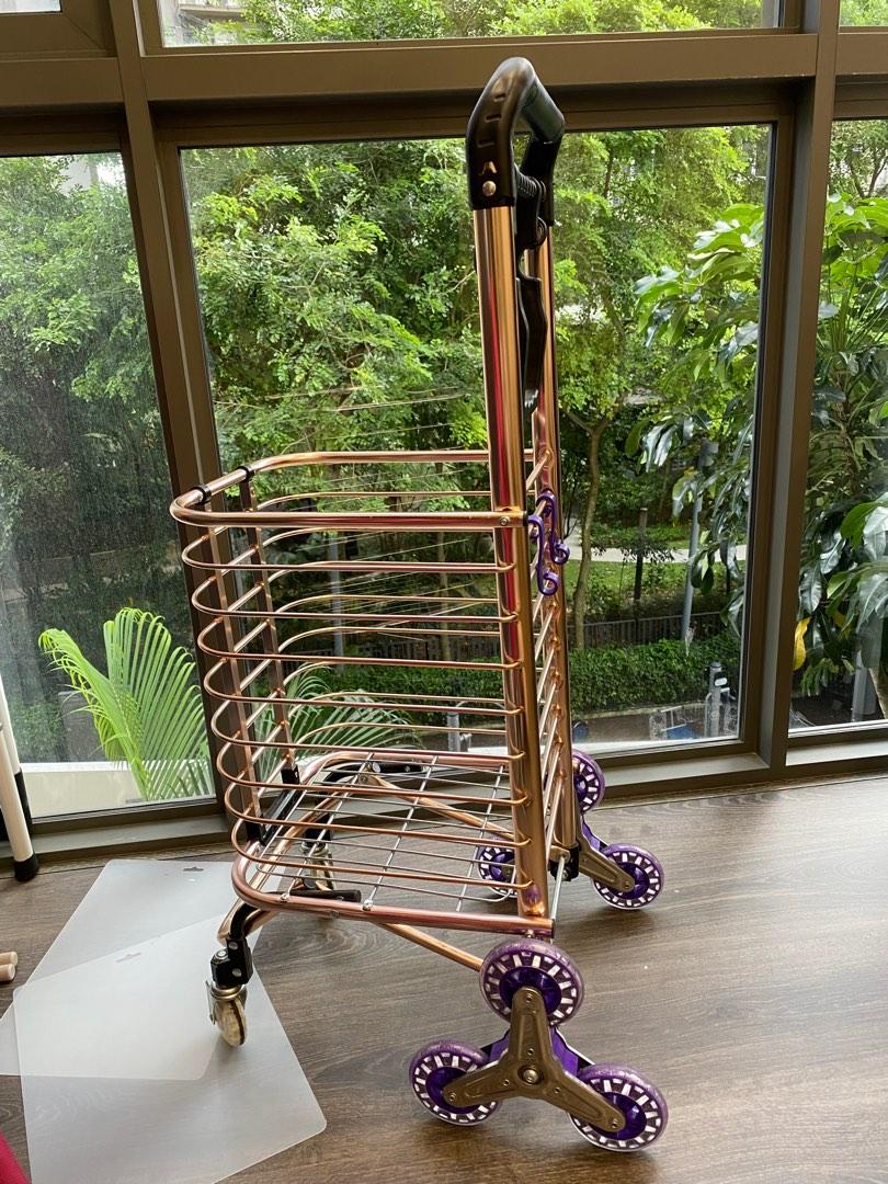 Push cart trolley, Hobbies & Toys, Travel, Travel Essentials ...