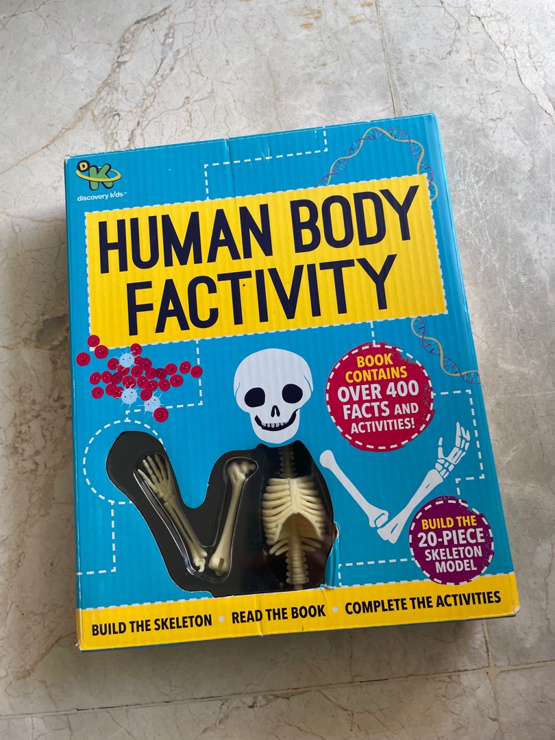 The Amazing Human Body Activity Book with Toy Skeleton Model, Hobbies ...