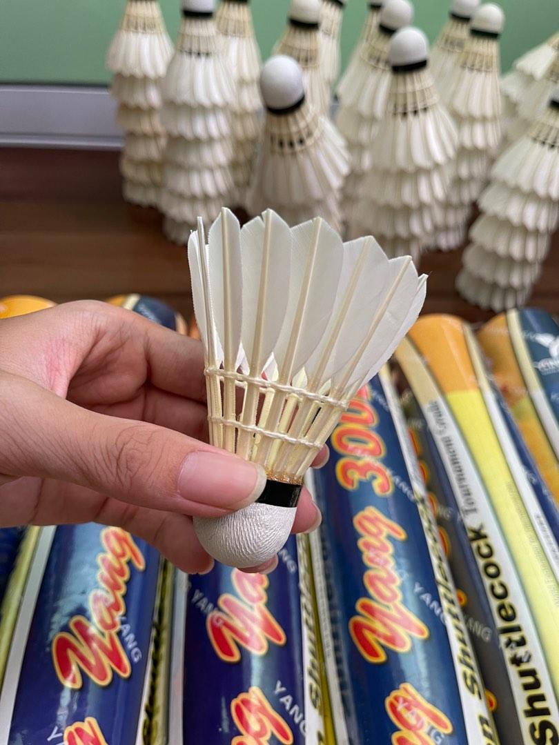 Used Badminton Shuttlecocks (/Training Shuttlecock / Shuttle), Sports ...