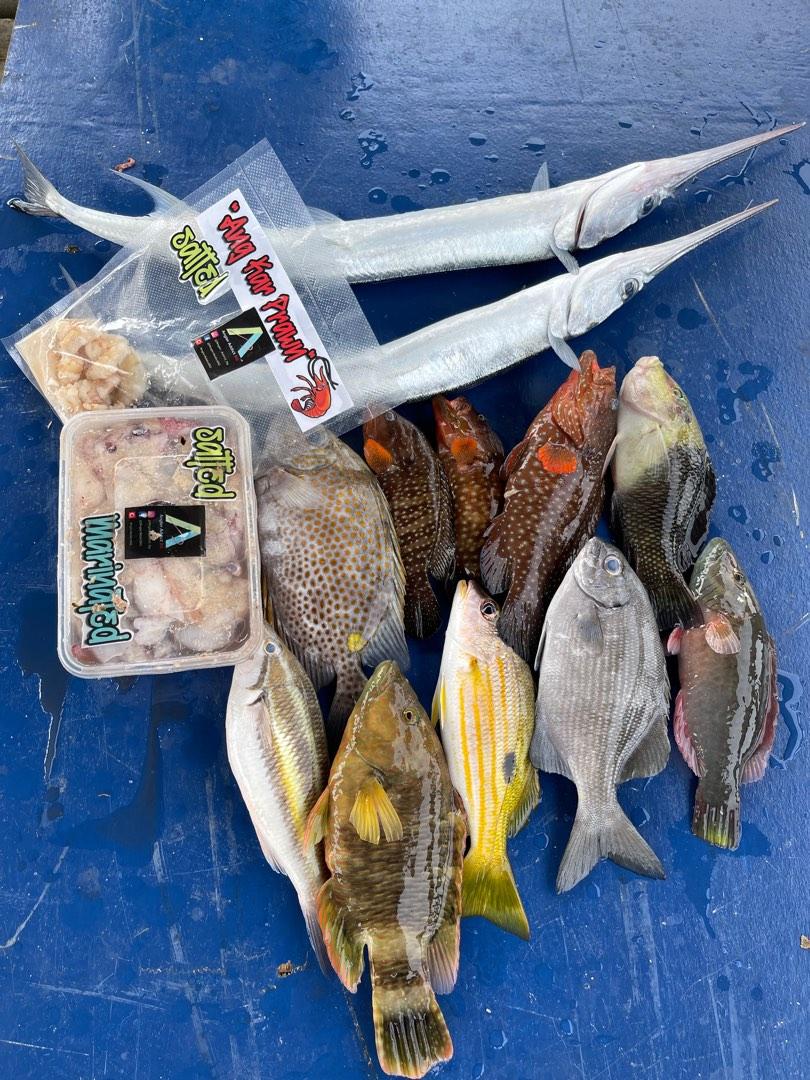 AASG Salt Cured Kembong Fillet Fishing Bait|| Todak Favorite Bait ...