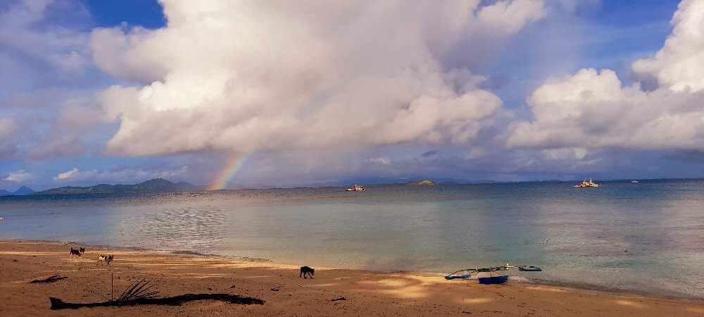 Balbagon Island 8k per sqm., Property, For Sale, Lot on Carousell