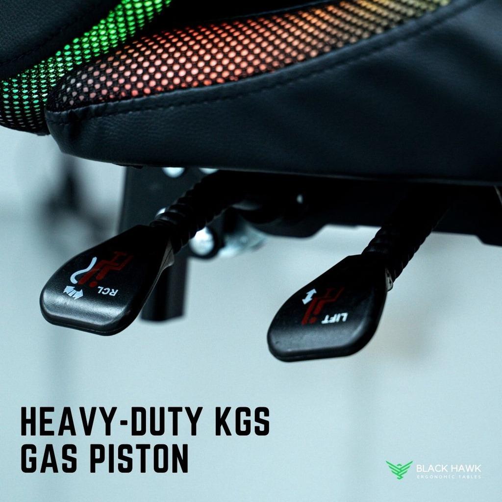 Black Hawk RGB Gaming Chair / Gaming Chair / Computer Chair (E-Sports ...