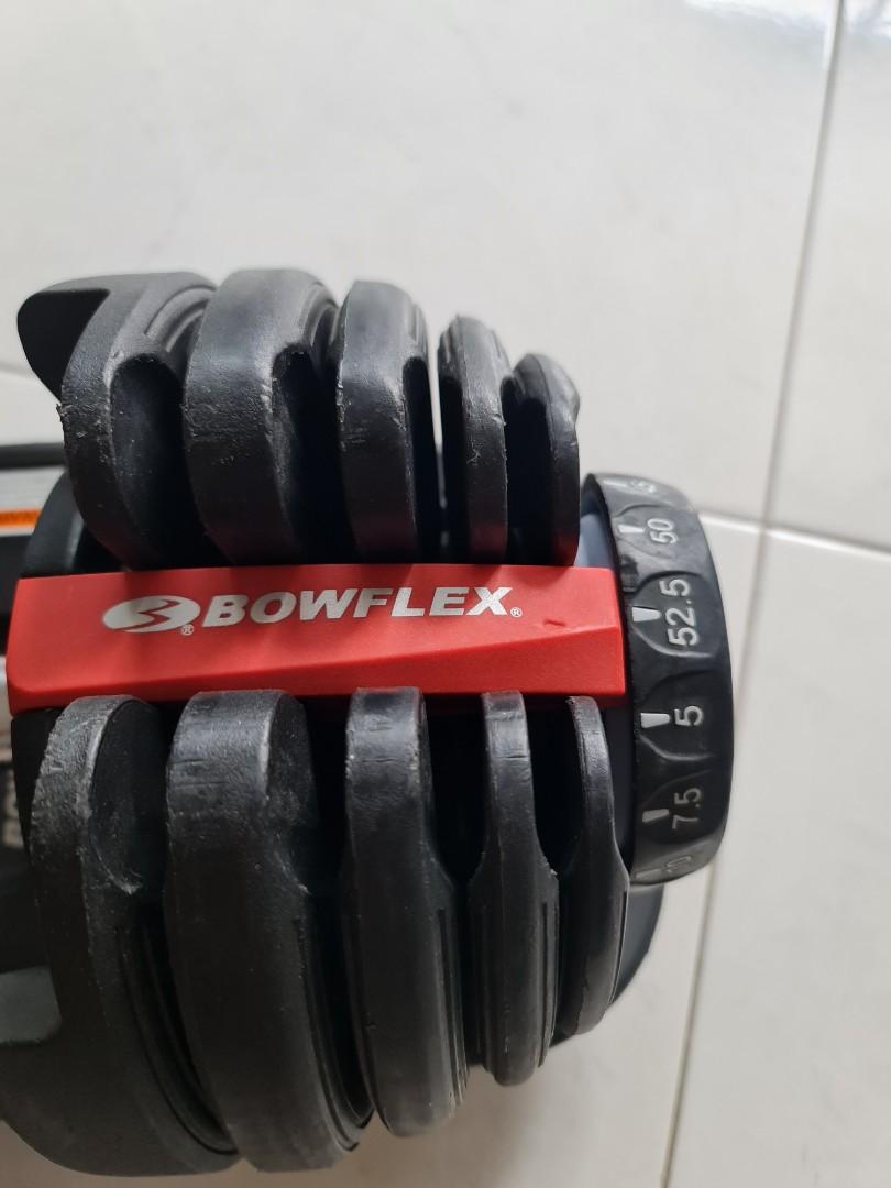 Bowflex dumbbells, Sports Equipment, Other Sports Equipment and ...