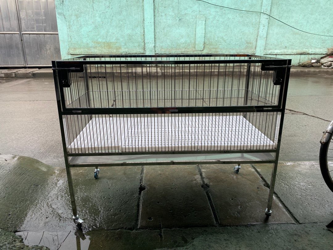 Crib type with elevated tray, Pet Supplies, Homes & Other Pet ...