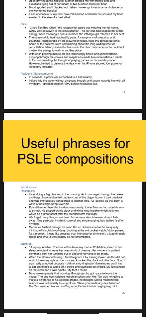 English Model Compositions PSLE useful phrases, Hobbies & Toys, Books ...