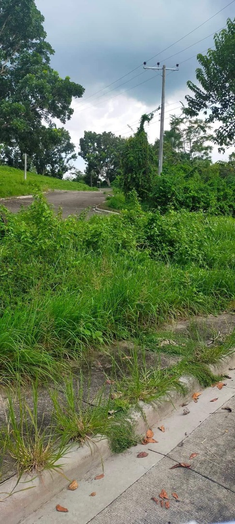 FOR SALE OR SWAP LOT ONLY, Property, For Sale, Lot on Carousell