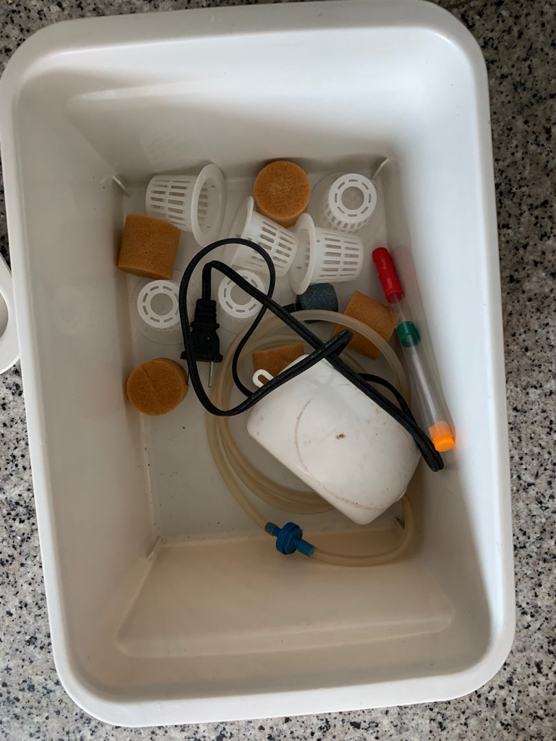 Hydroponic Set, Furniture & Home Living, Gardening, Gardening Tools ...