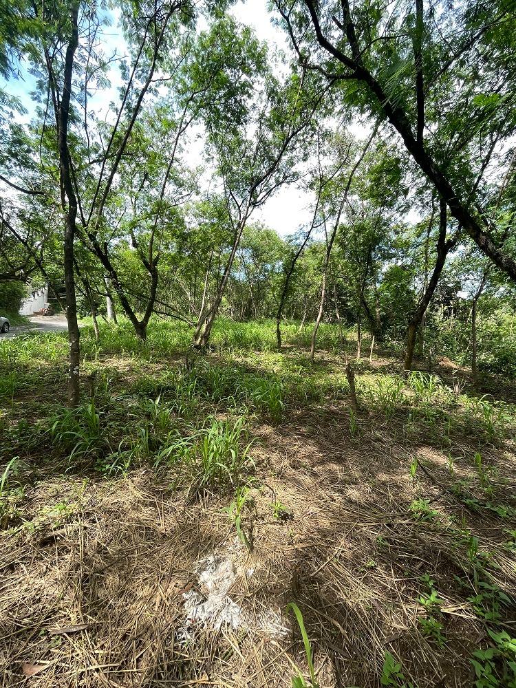 JTO - FOR SALE: 1,015 sqm Residential Lot in Parkridge Estate, Antipolo ...