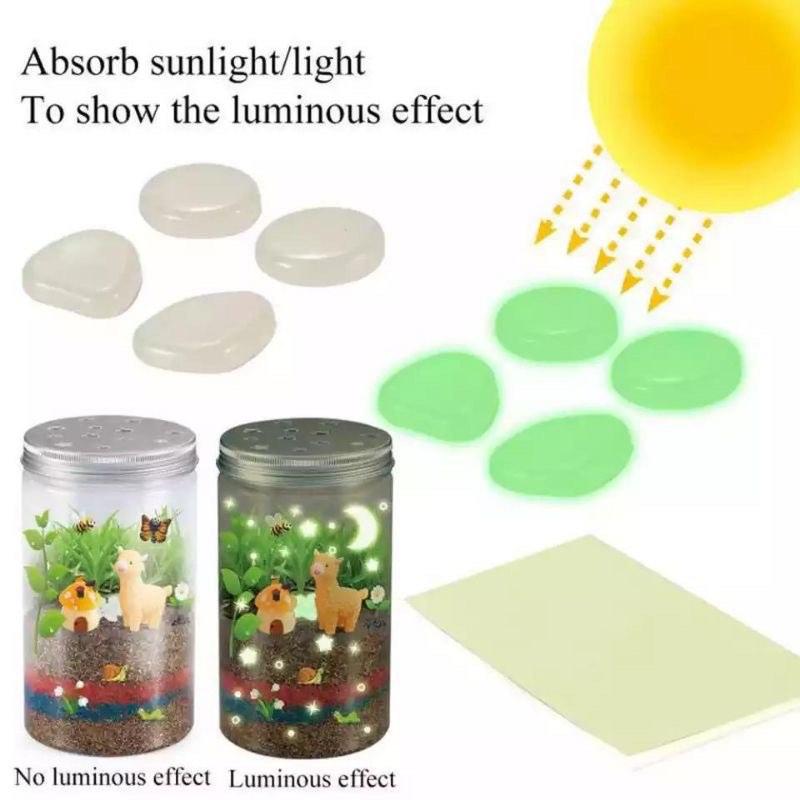 Terrarium Kit Magic Luminous Grass Early Educational DIY Toy Set Pot ...